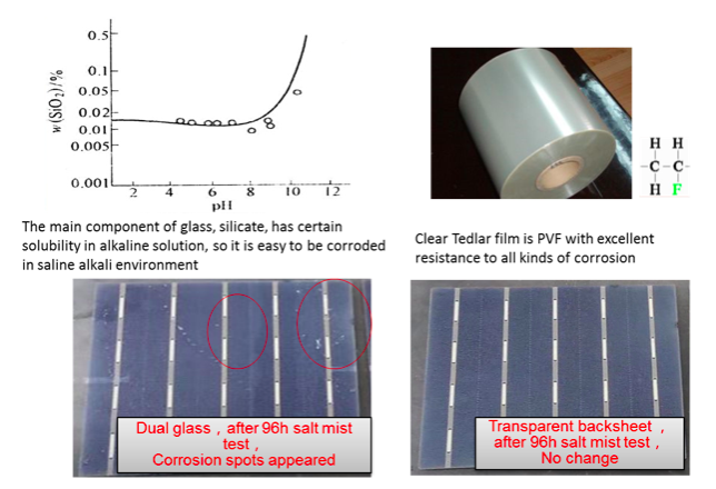 JinkoSolar: Transparent backsheet vs dual glass—- Advantages and ...