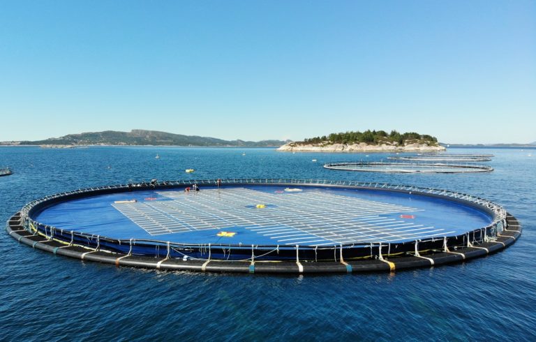 Ocean Sun inks MoU to deploy utility-scale floating solar in Asia - PV Tech