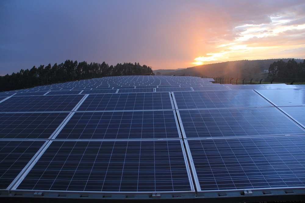 East Africa’s largest PV power plant opens in Kenya tea farm - PV Tech