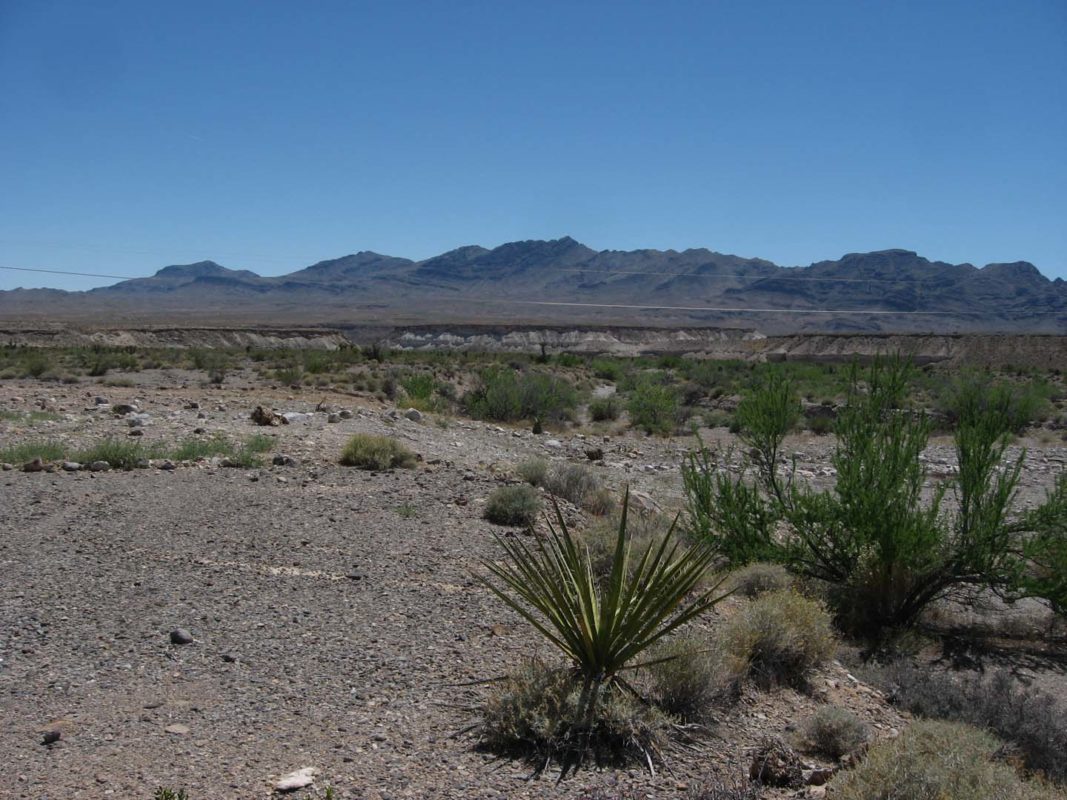 K Road Power sells 250MW Moapa PV project to First Solar - PV Tech