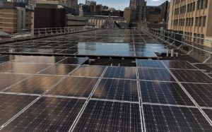 AGL acquires Australian C&I solar providers Solgen and Epho - PV Tech