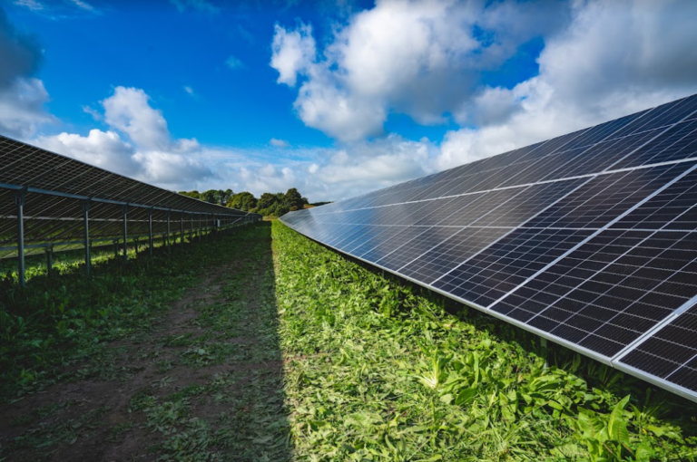 Soltech enters 300MW Sweden partnership with Solgrid