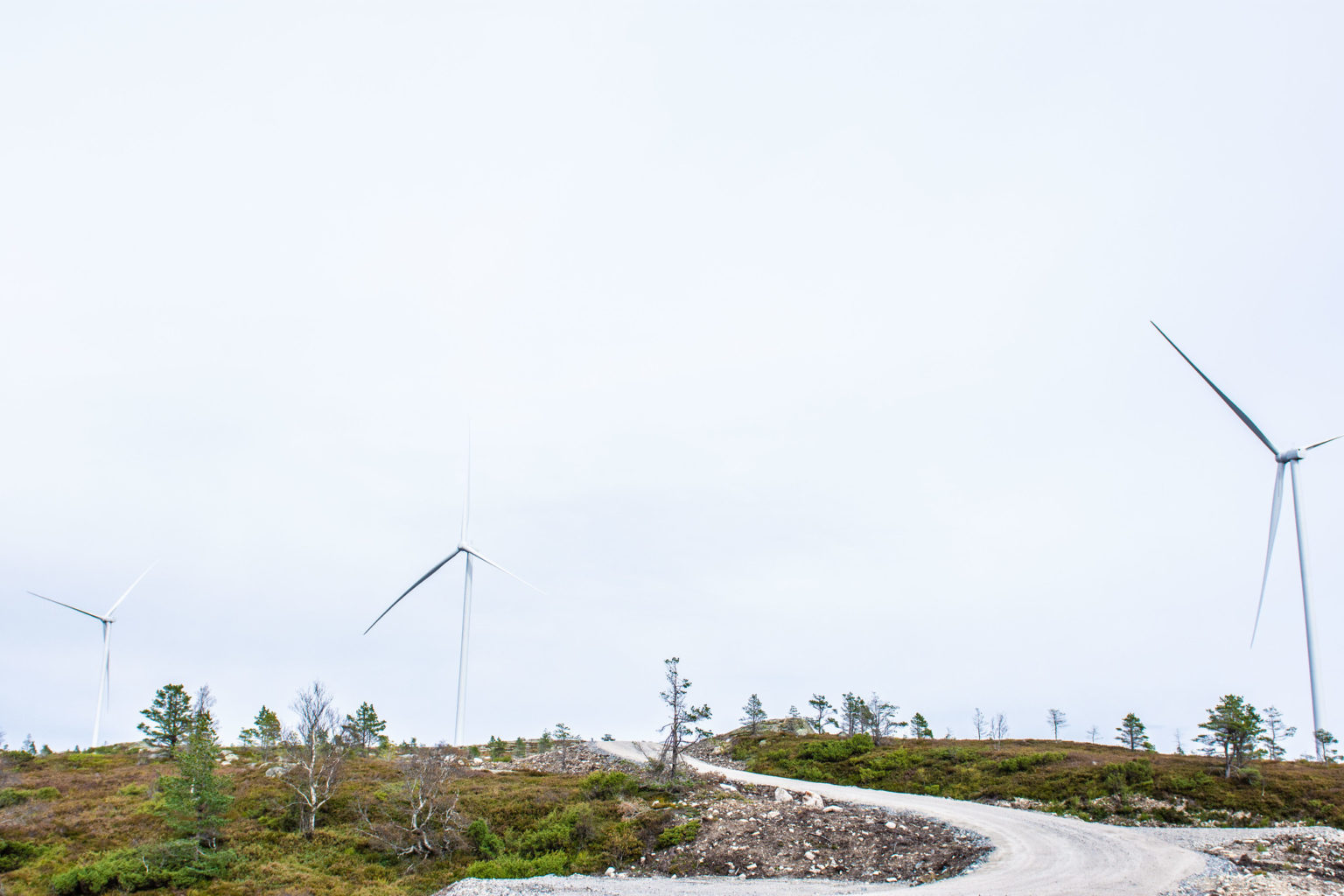 Hydro Rein, GIG to develop solar-wind hybrid in Brazil - PV Tech