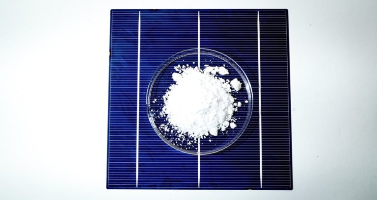 Swedish start-up claims algae innovation can boost solar module ...