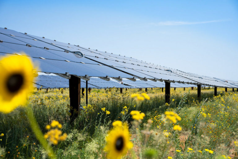Solar projects dominate US utility-scale clean energy investments