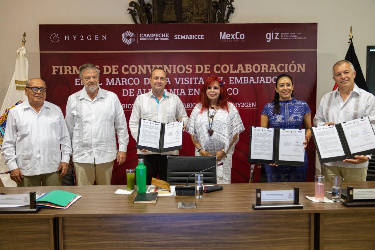 Hy2gen to build green ammonia plant in Mexico with 208MW of solar PV