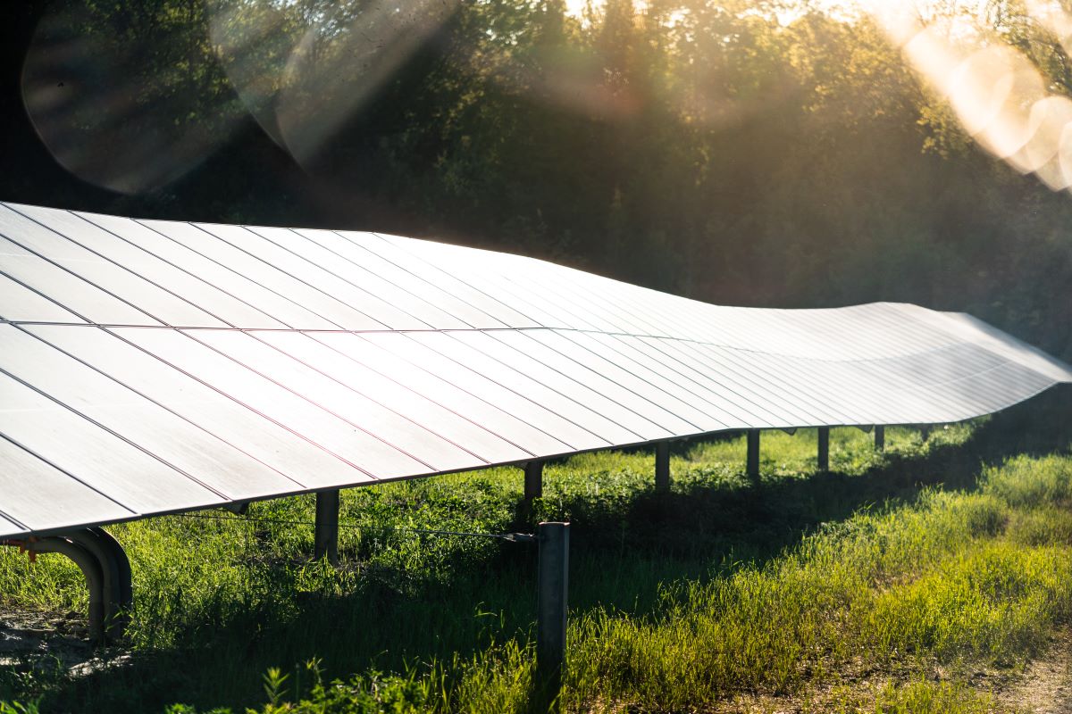 Lightstar breaks ground on first agriPV project in New York