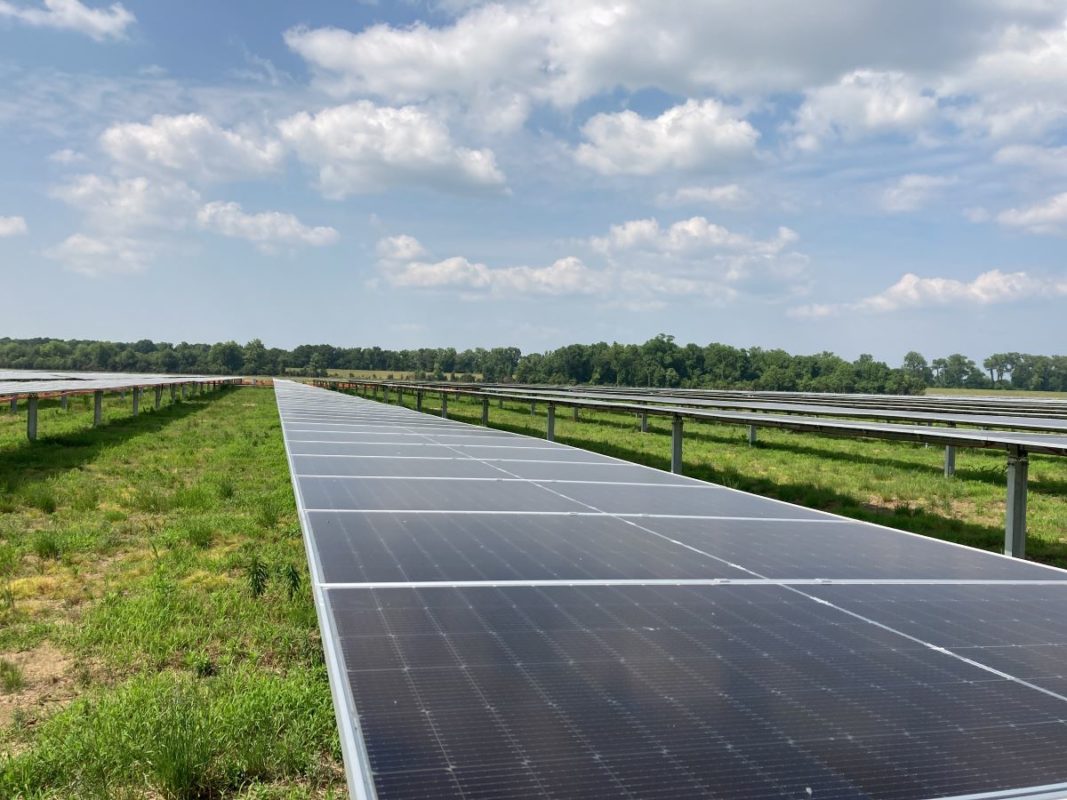 Cubico brings to operation 135MW solar plant in Mississippi - PV Tech