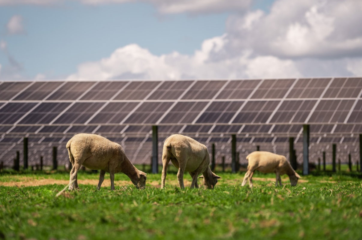 Trina Solar powers New Zealand's largest solar farm with integrated ...