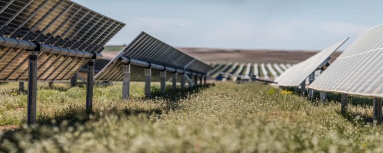 Contact Energy’s US$316m equity raise for renewables future