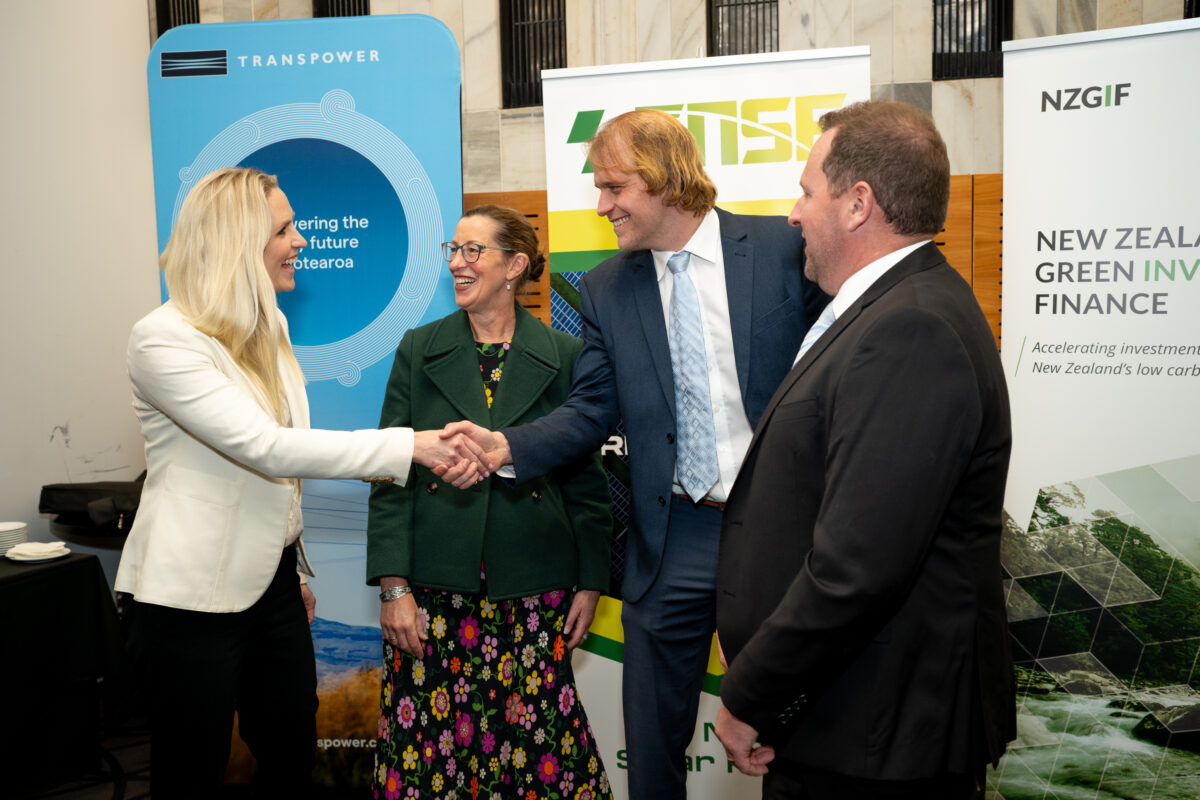 NZGIF finances US$48.7 million FNSF solar portfolio