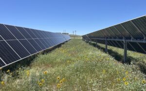Microsoft and Pivot sign deal for 500MW of US community solar
