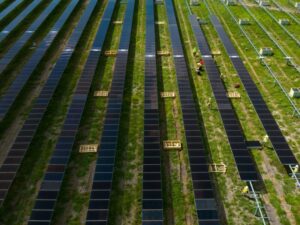 NZ: Lightsource bp reaches financial close on 171MWdc solar plant - PV Tech