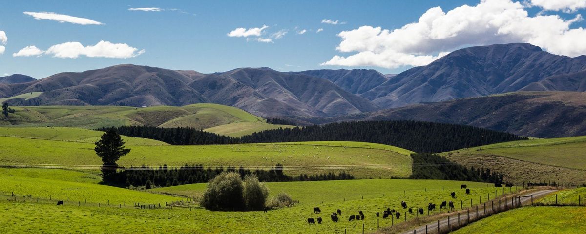 New Zealand: 179MW solar PV plant clears regulatory hurdle - PV Tech